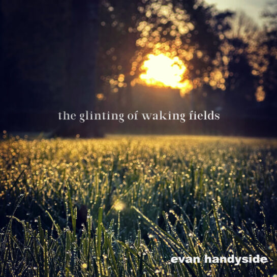 The Glinting of Waking Fields \\ Original by Evan Handyside + TAB
